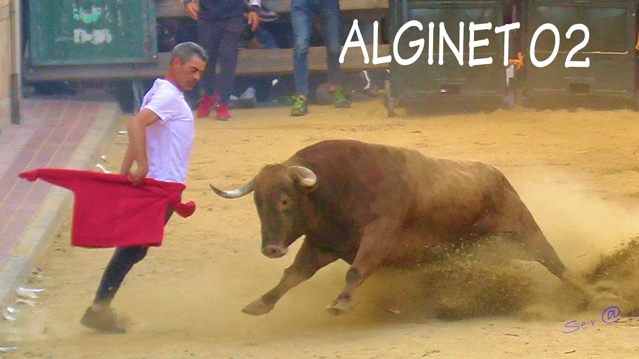 2023 ALGINET 02 ESPECIAL 2 Toros Cerriles - YouTube