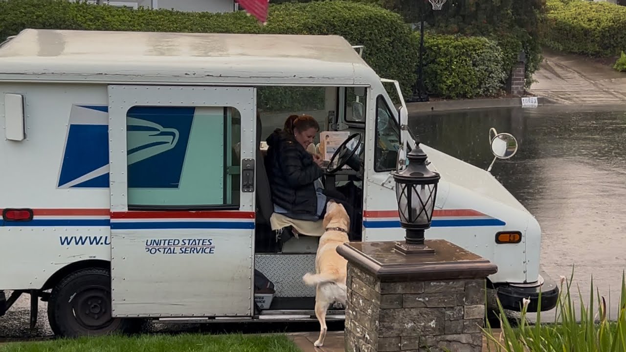Nothing Stops Her From Seeing the Mail Lady — Not Even a Storm - YouTube