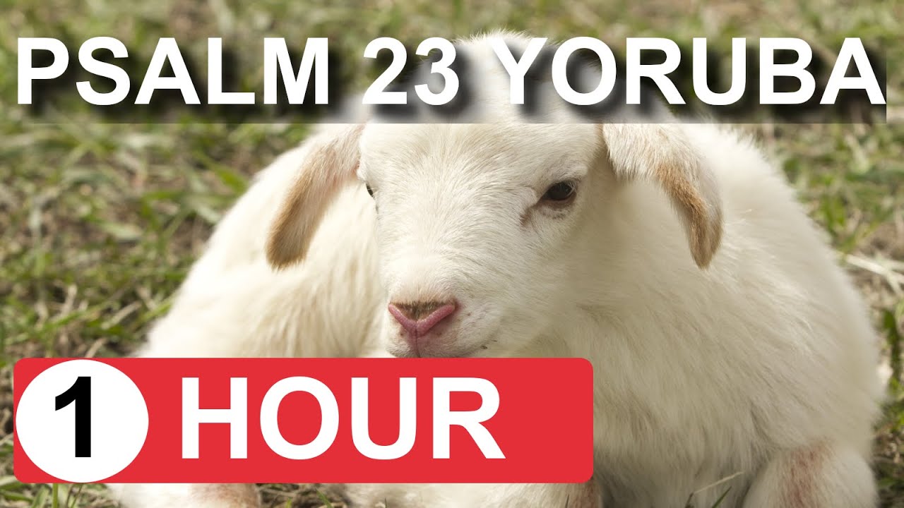Psalm 23 1 HOUR loop in Yoruba | Meditate on Saamu 23 | YorubaLearn.com ...