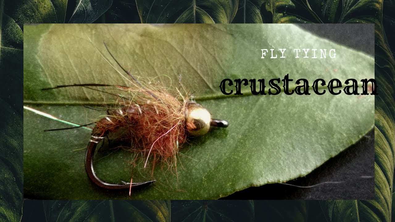 Fly tying for beginners: crustacean - YouTube