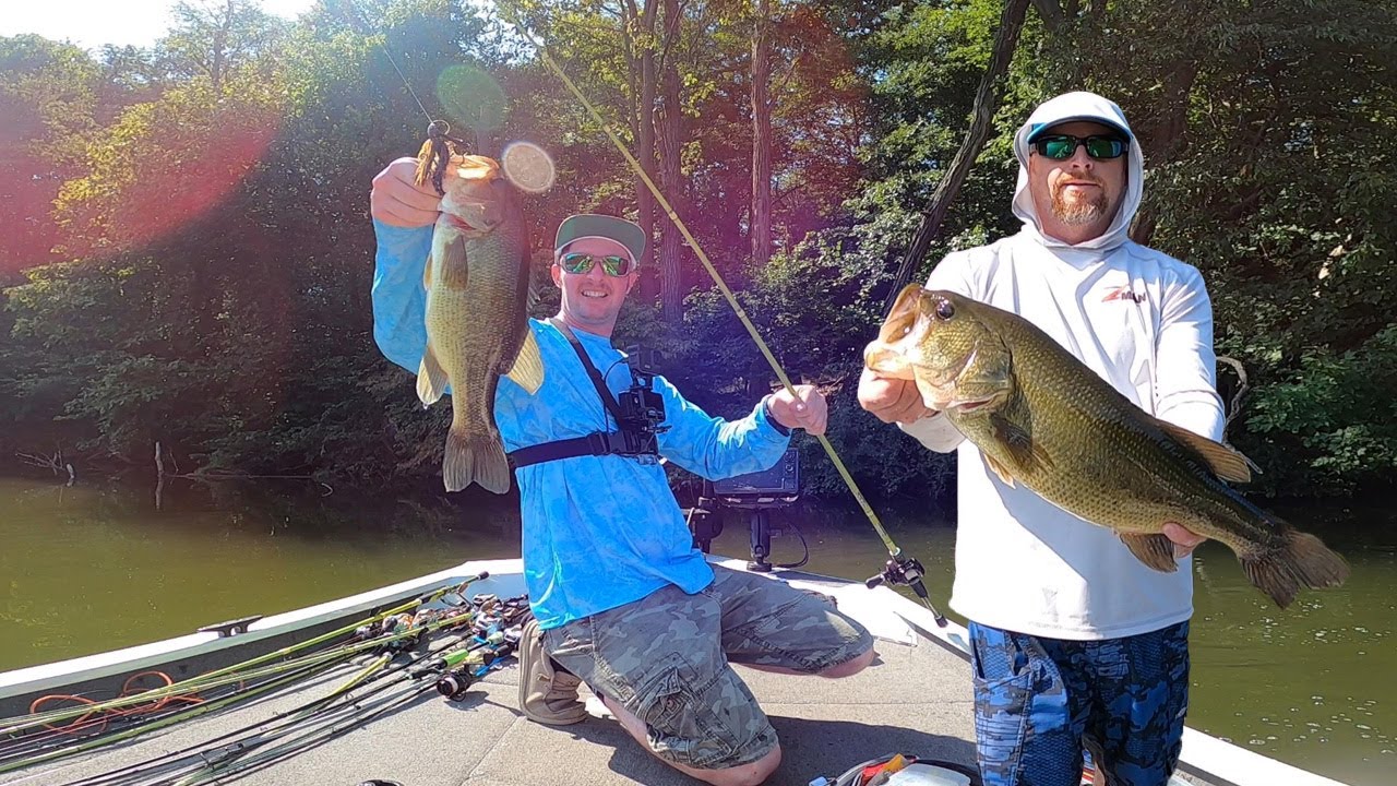 flipping trees to catch big bass in lakes! - YouTube