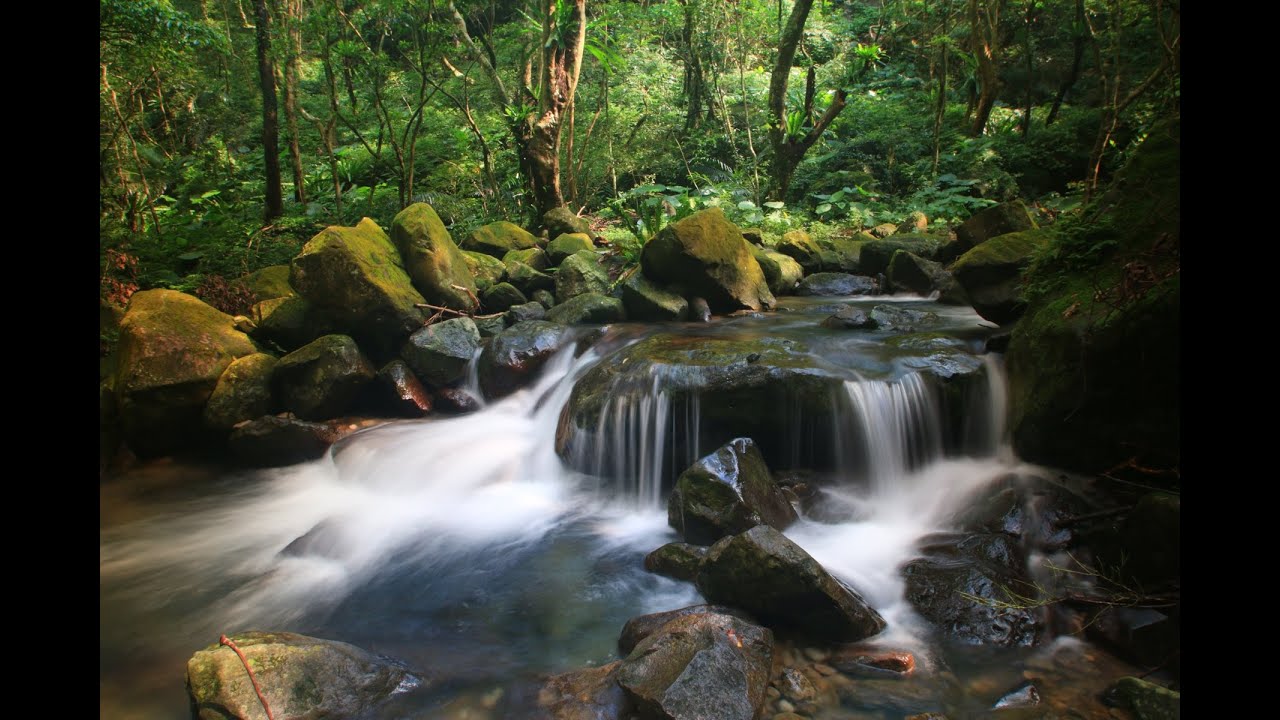 Mab Yaj & Huas Vwj Zaj Keeb Kwm - 03/08/2021 - YouTube