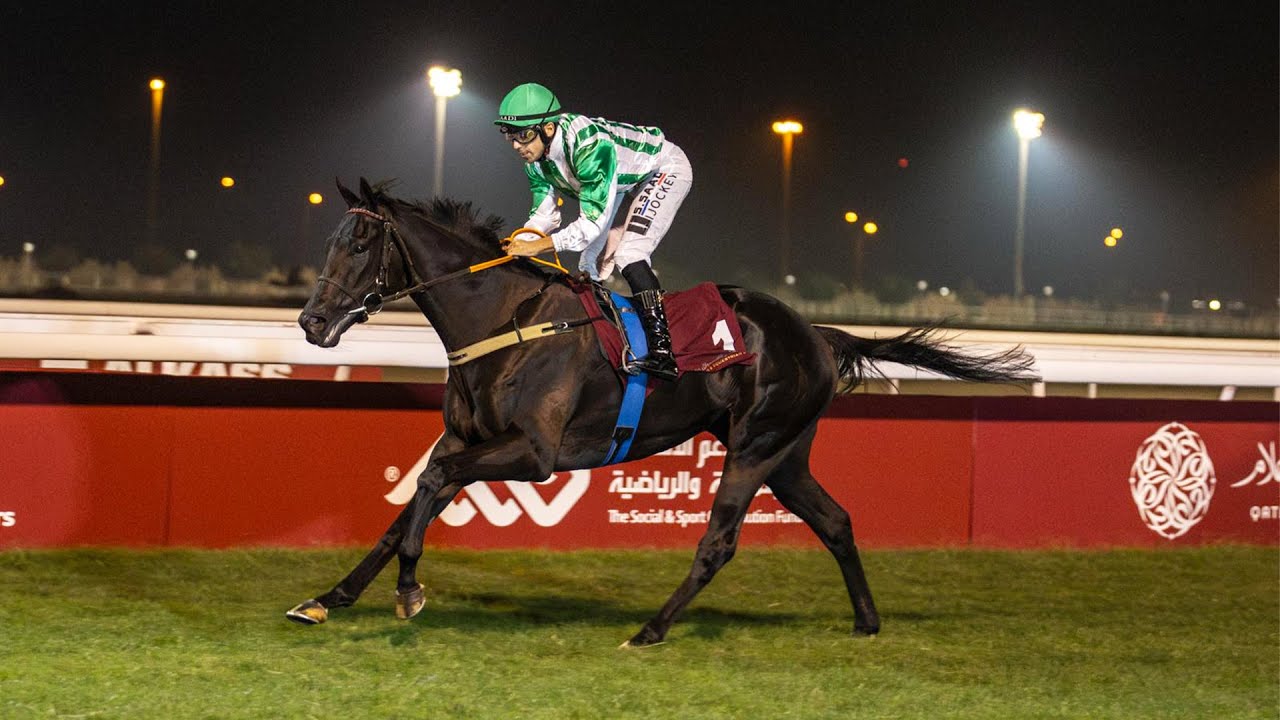 RM 16 Al Rayyan Race 9 - Trails Day - YouTube
