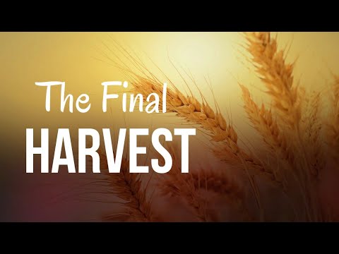 Parable of the Wheat and the Tares Explained (Parables of Jesus) - YouTube