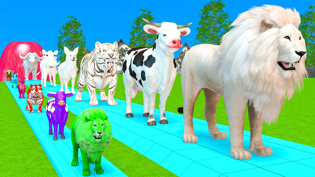 Long Slide Game With Elephant Gorilla Buffalo Hippopotamus Tiger 3d ...