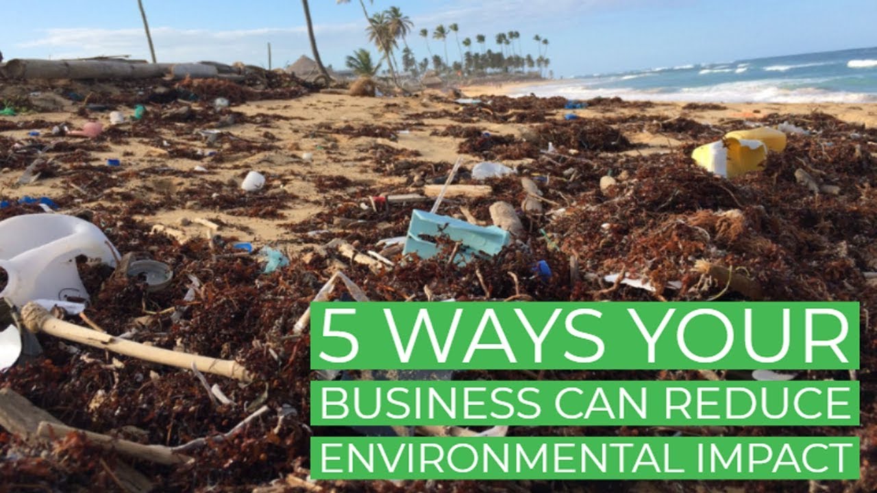 5 Ways Your Business Can Reduce Environmental Impact - YouTube