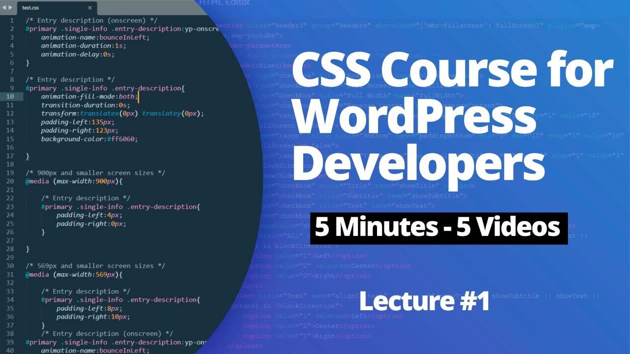 Lecture #1 | CSS course for WordPress developers | 100% Responsive CSS ...