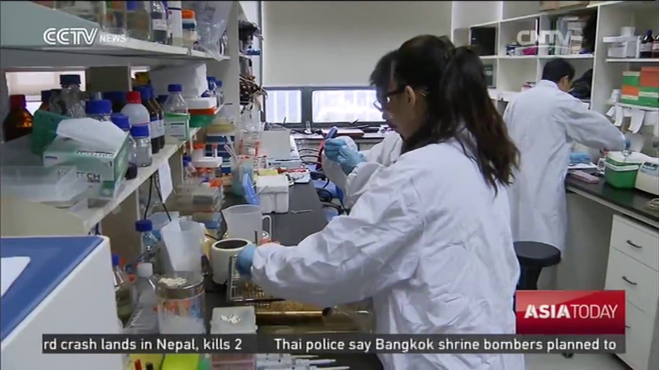 Infertility Cure: Chinese scientists create sperm from stem cells - YouTube