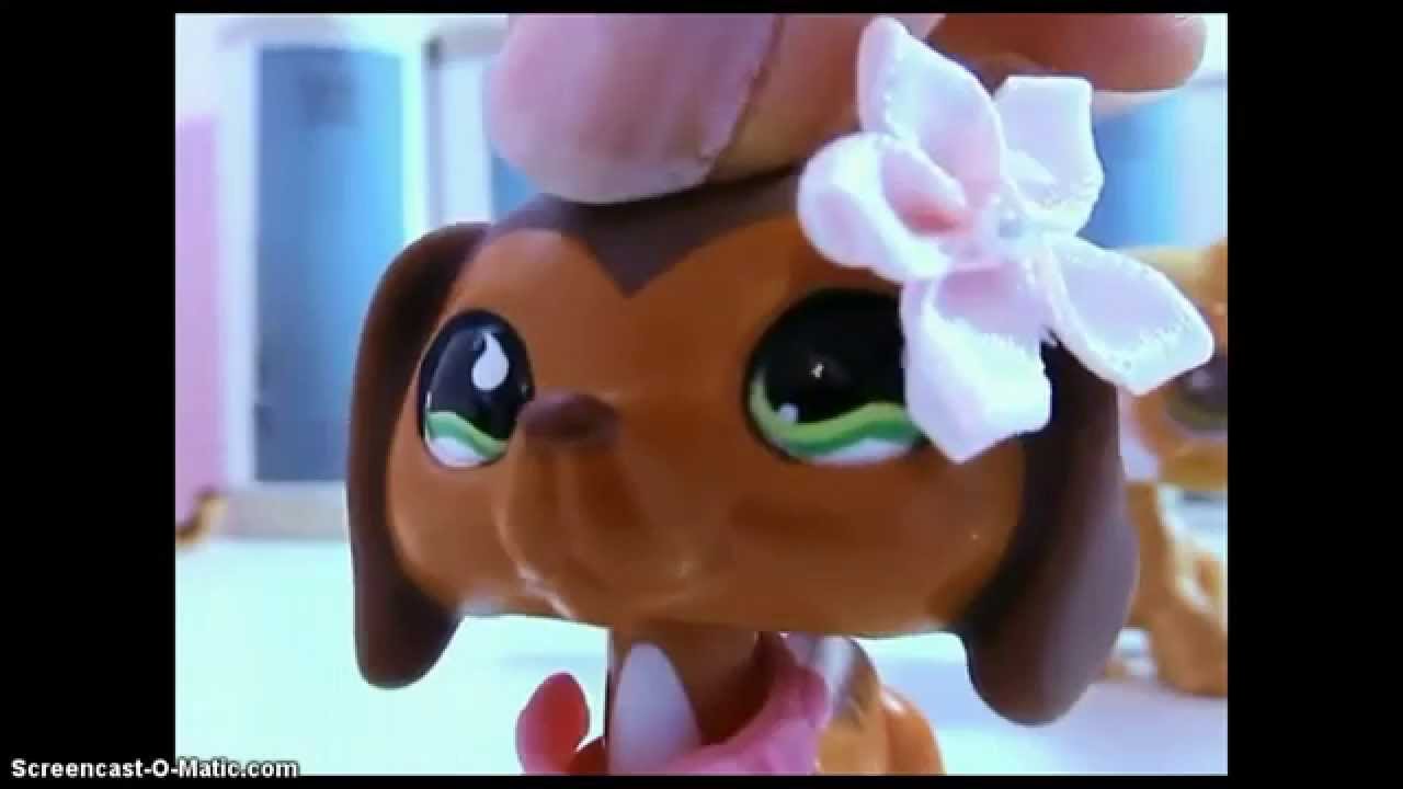 LPS Savannah singing Everybody's fool by Evanescence - YouTube