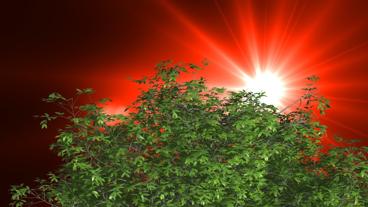 Ghost in The Bus Stop | Horror Movie, Horror Story | Horror Place - YouTube