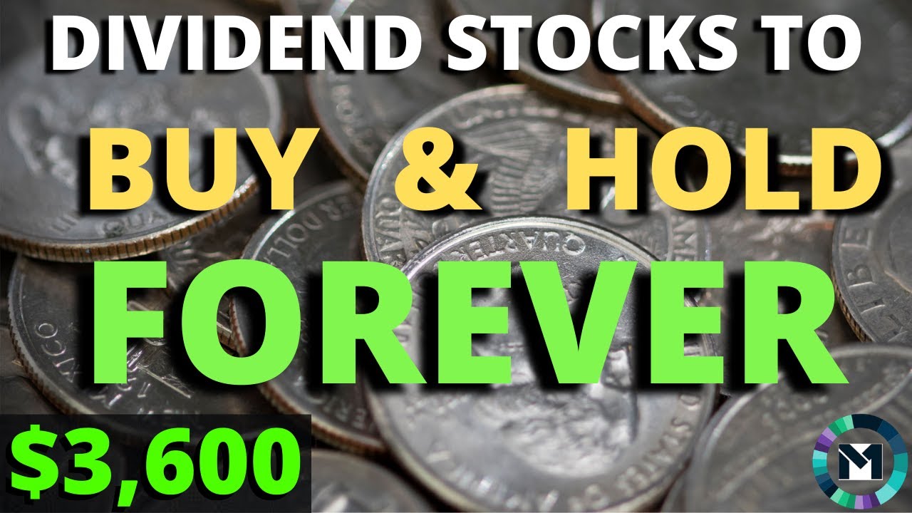 10 Dividend Stocks To Buy And Hold Forever Youtube
