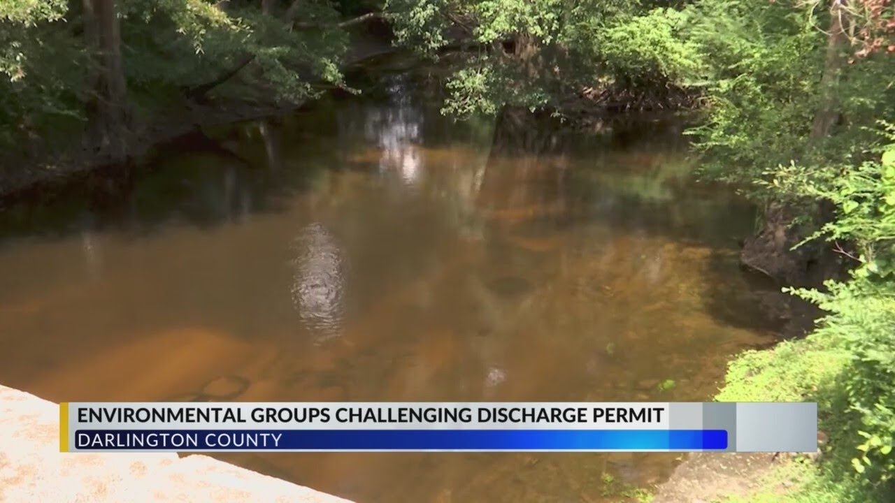 Local conservation group challenging Pee Dee manufacturer's discharge ...