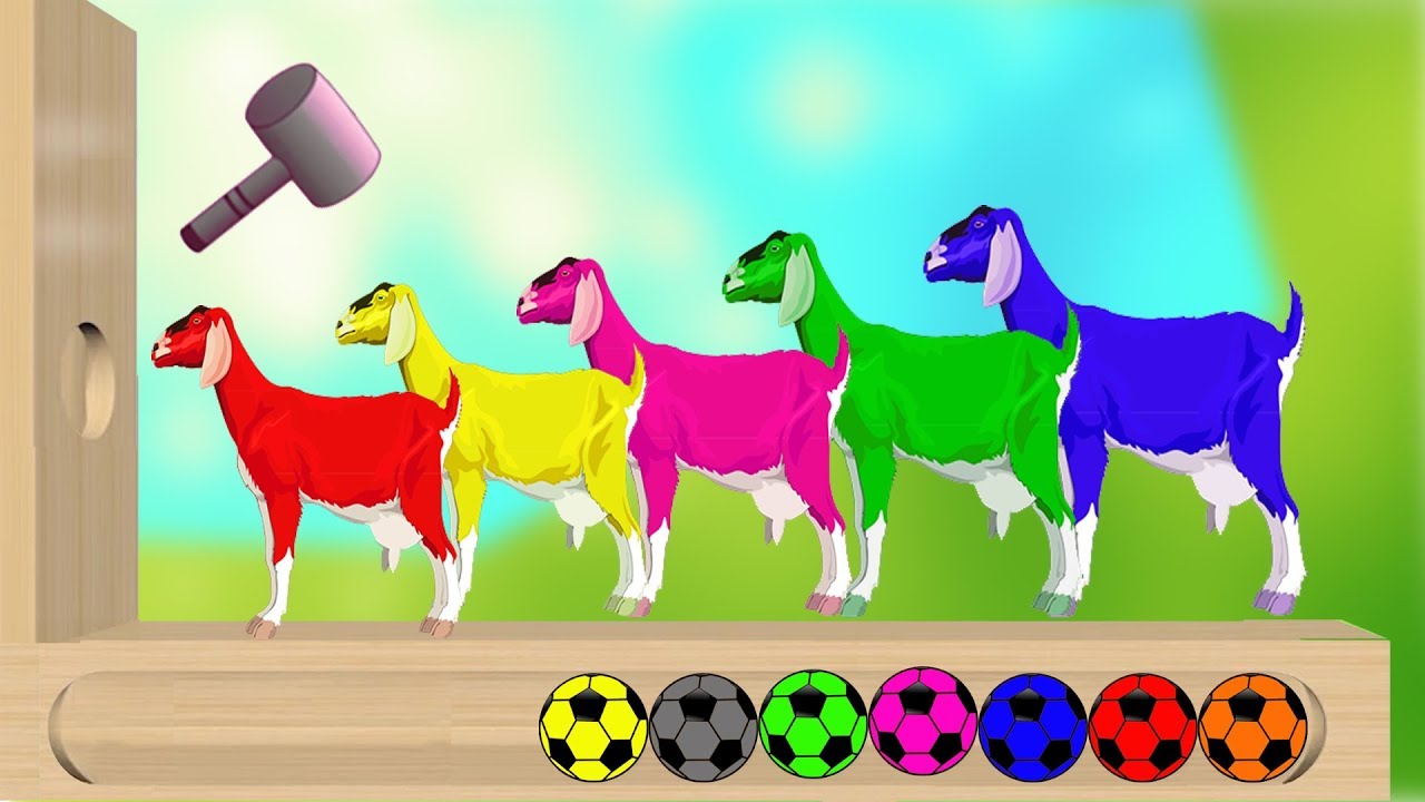 Learn Colors With Animals for Children #h - Colours With Goat for Kids ...