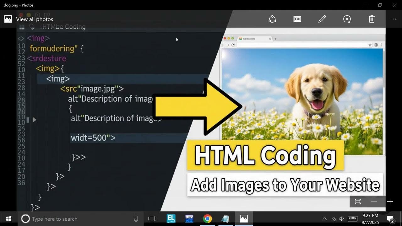 HTML img src The Easiest Way to Add Images to Your Website #html5 #htmltutorial - YouTube