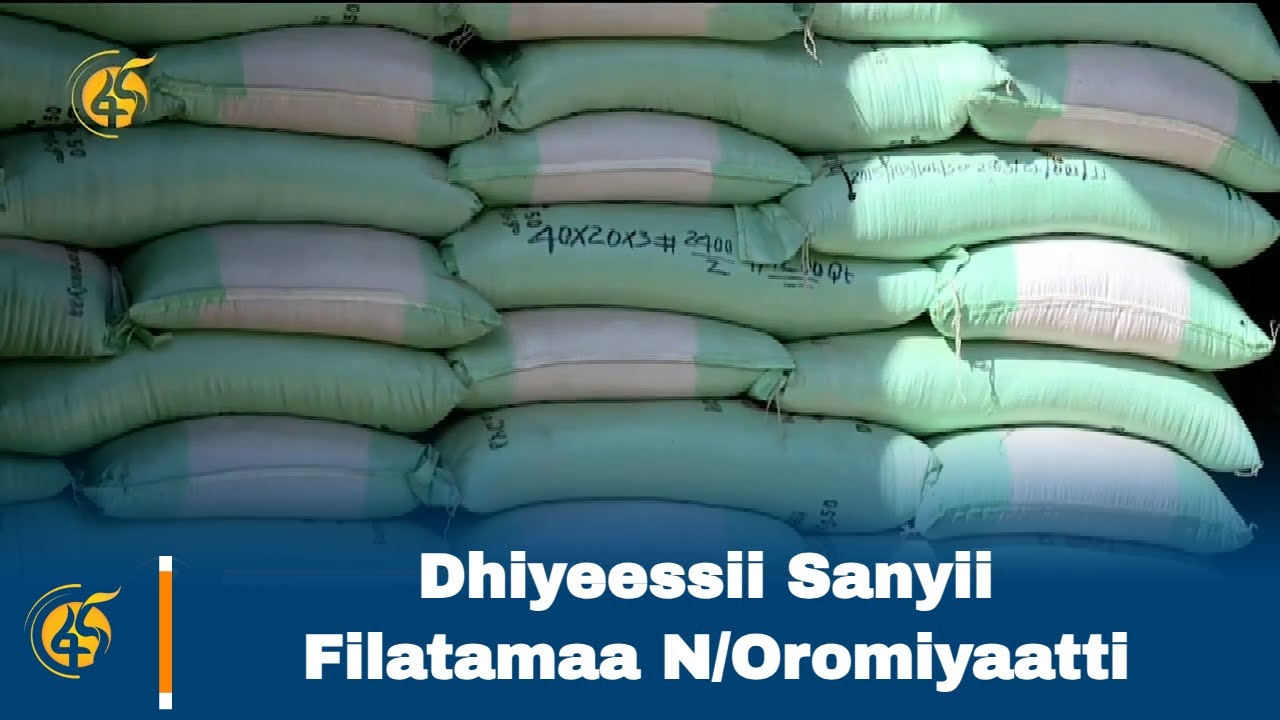 Dhiyeessii Sanyii Filatamaa N/Oromiyaatti - YouTube