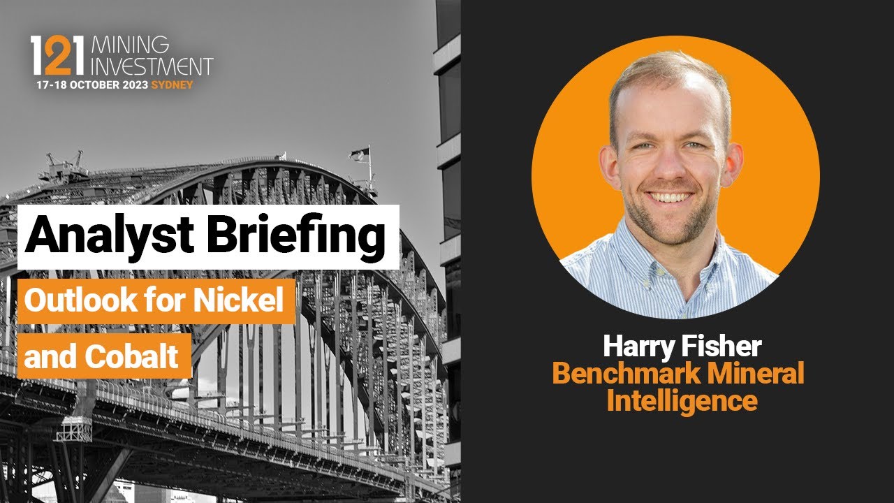 Analyst Briefing: Outlook for Nickel and Cobalt - Harry Fisher ...