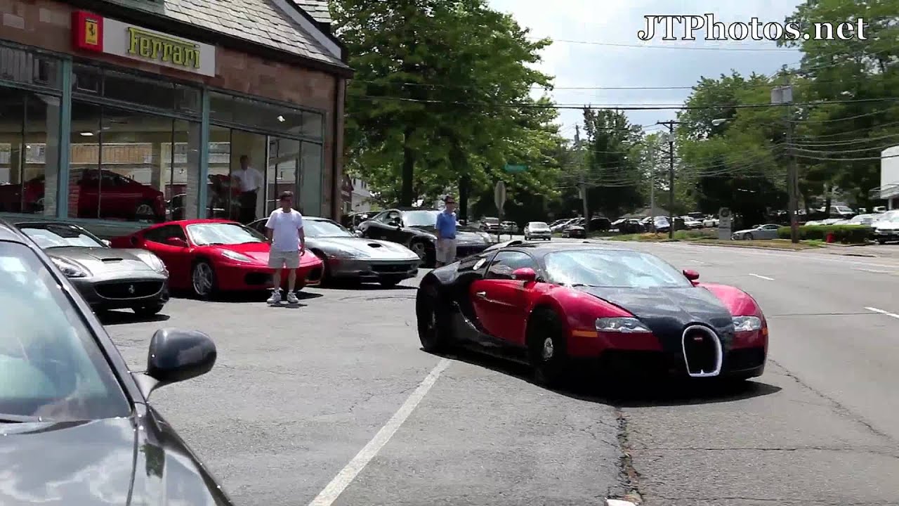 Dog riding in Ferrari 458 + Veyron accelerating - YouTube