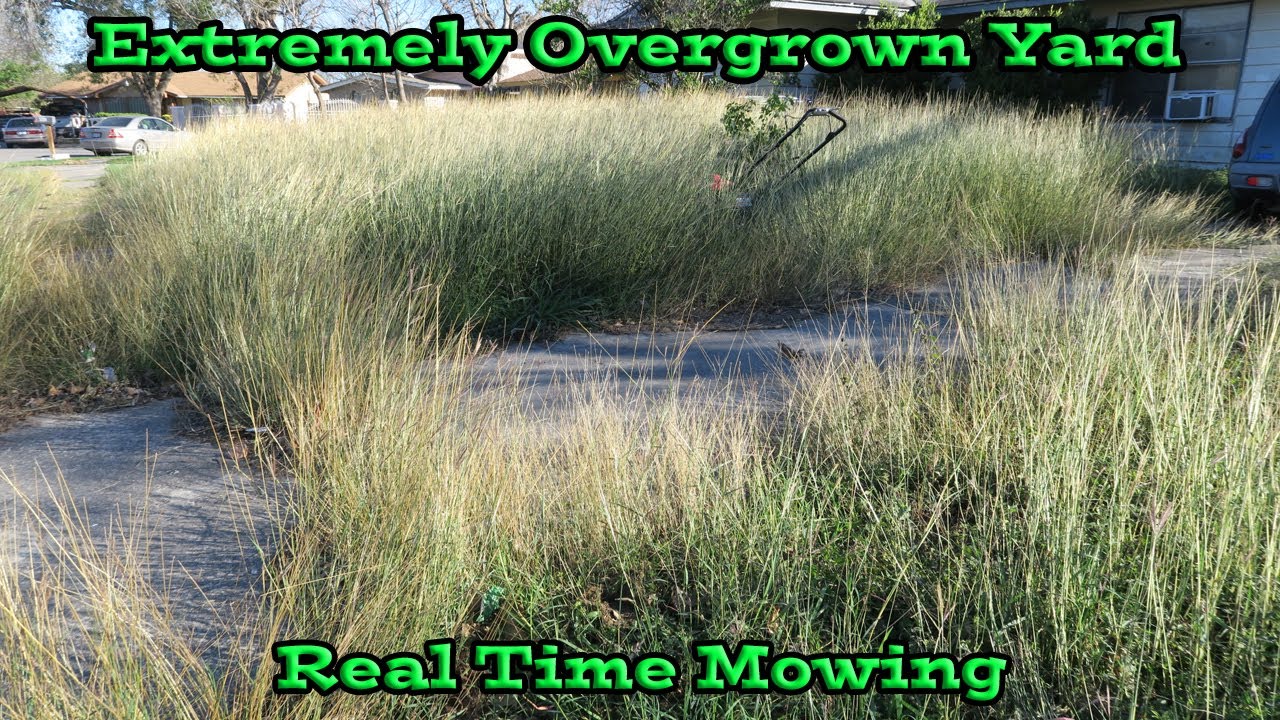 Real Time Mowing Extreme OVERGROWN Lawn Gets Cut for FREE | Ugly Yard ...