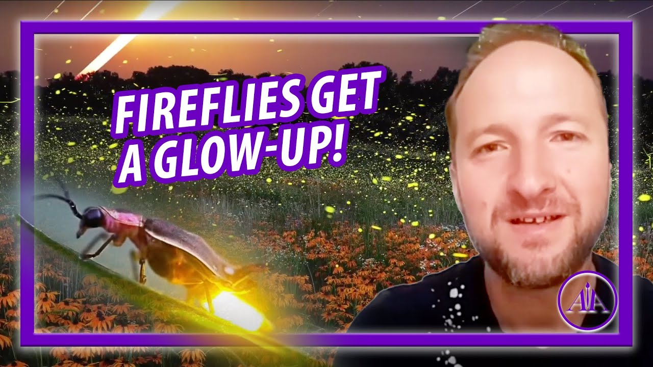 Firefly Photography | Capturing the Lightning Bugs - YouTube
