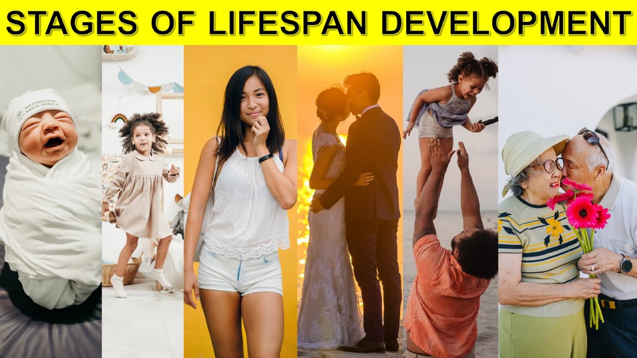 Stages of LIFESPAN DEVELOPMENT from infancy to late adulthood ...