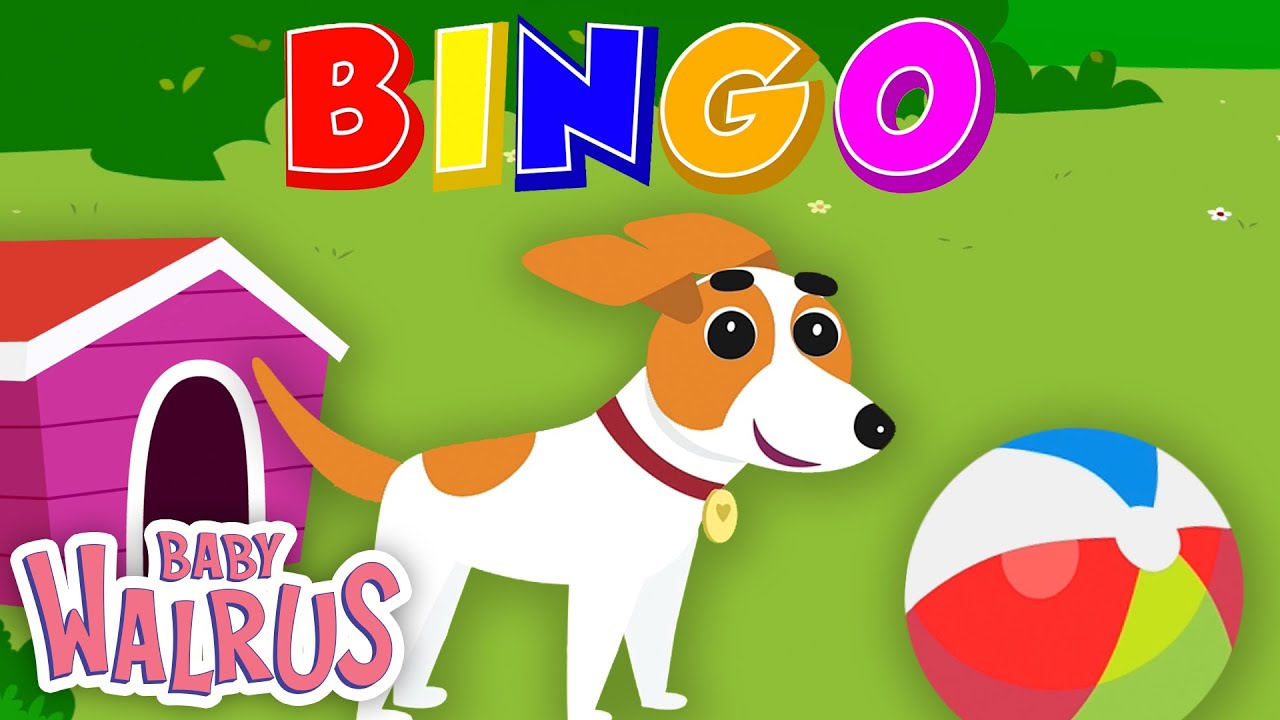 BINGO | Animated Nursery Rhymes & Kids Songs | Baby Walrus - YouTube
