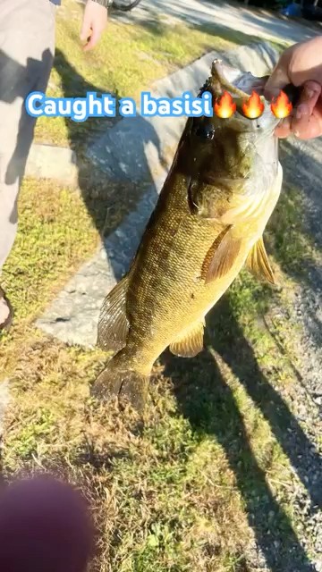 Can’t catch a blugigi😭🎣 #bassfishing #fishing #memes #blugigi #blugill ...