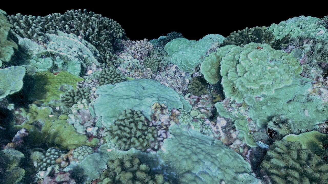 Flint Island, Southern Line Islands, Republic of Kiribati - YouTube