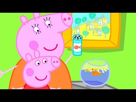 Peppa Pig Yeni bölümler ⭐ Balık Goldie 🐟 Programının en iyi bölümleri | Çocuklar için Çizgi Filmler