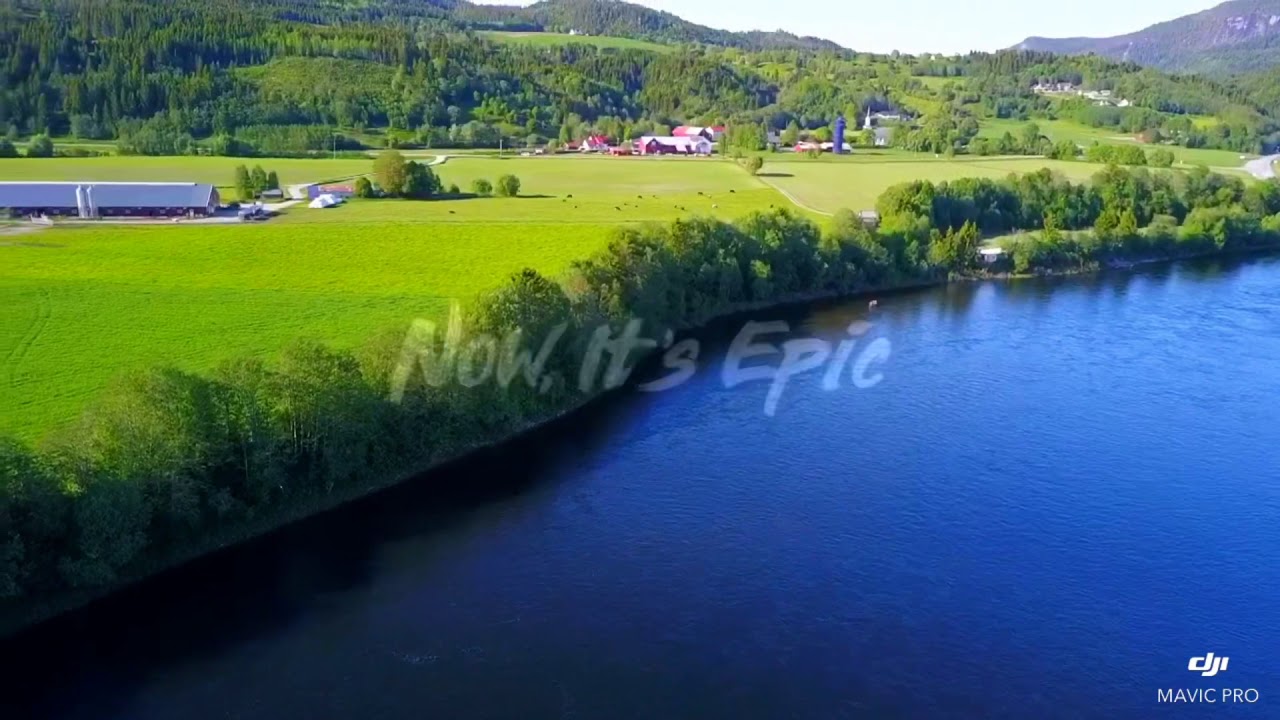 Summer 2020 YouTube summer-2020-youtube