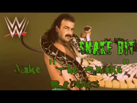 Jake "The Snake" Roberts Last WWE theme "Snake Bit" - YouTube