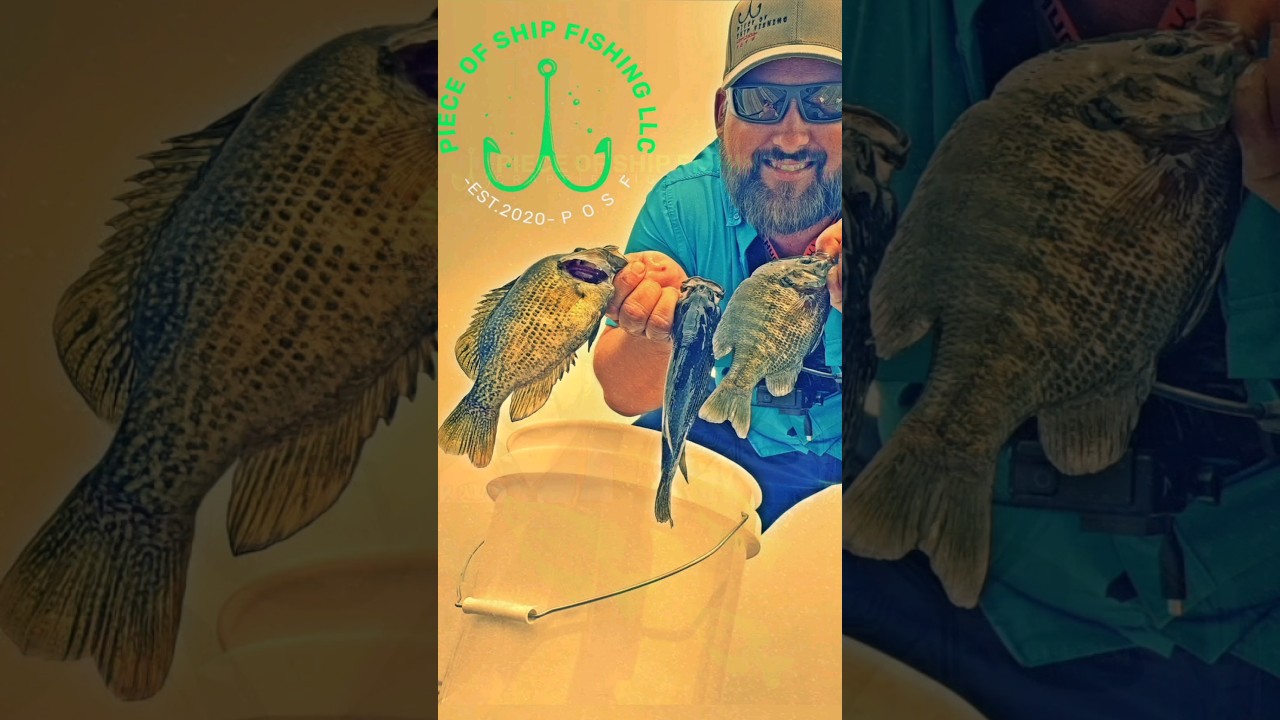 bluegill and rock bass on posf bluegill jig #viral #fishing #shorts#fyp ...