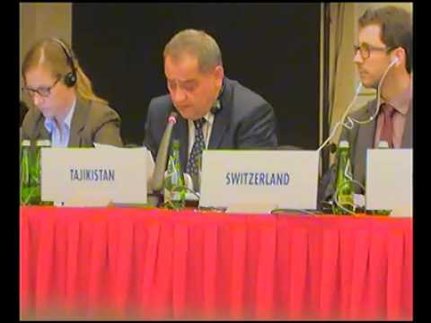 Working Session 6: Humanitarian Issues and Other Commitments (continued)