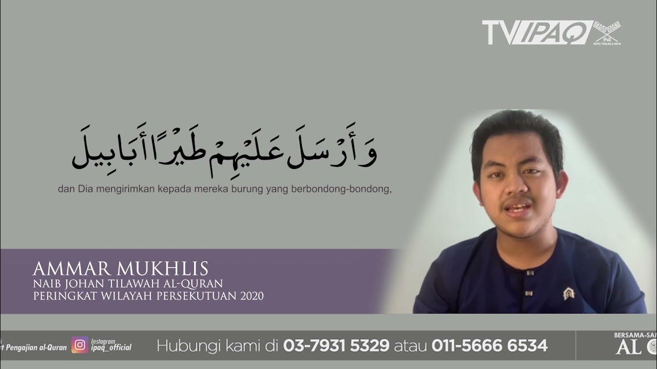 Surah al Fil Surah Quraish Qari Ammar Mukhlis