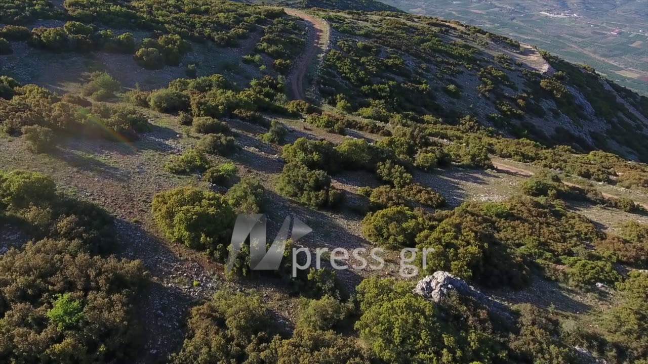 Έρευνες για τον Θάνο Ακρίβο στο βουνό του Άργους - YouTube
