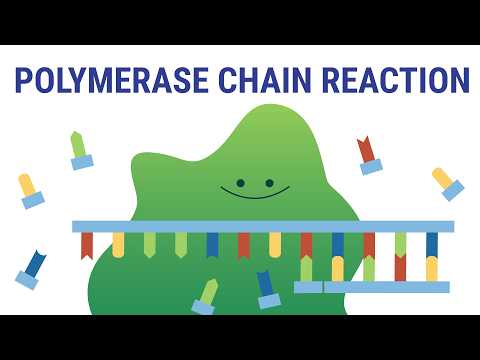 PCR explained | biology animation