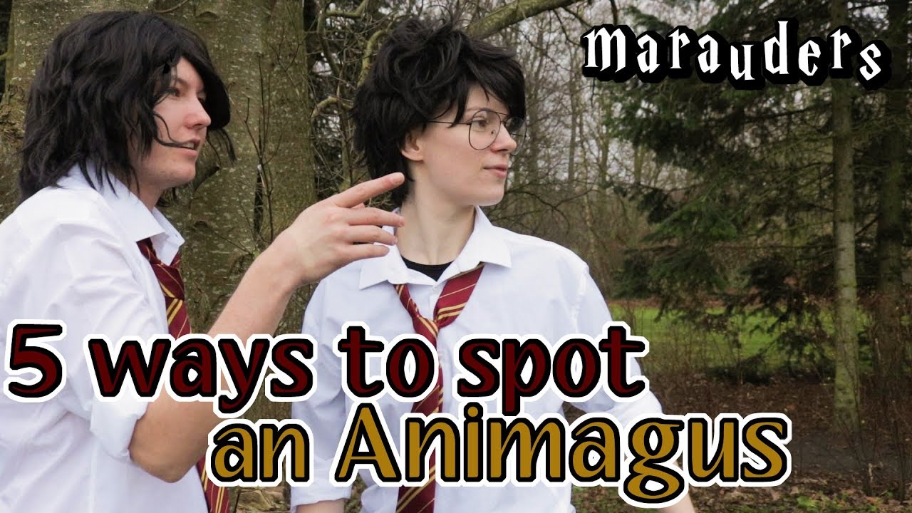 5 ways to spot an animagus - YouTube