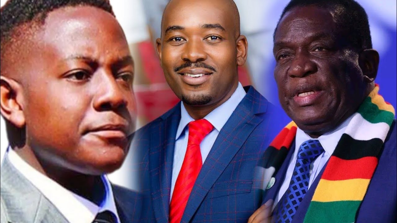 Chatunga Mugabe Says Chamisa Is Jealous Of Mnangagwa. - YouTube