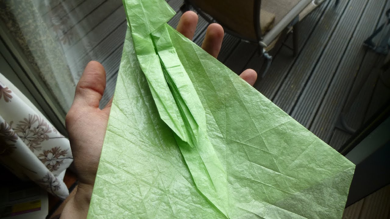 Praying Mantis [Satoshi Kamiya] Collapsing Process - YouTube