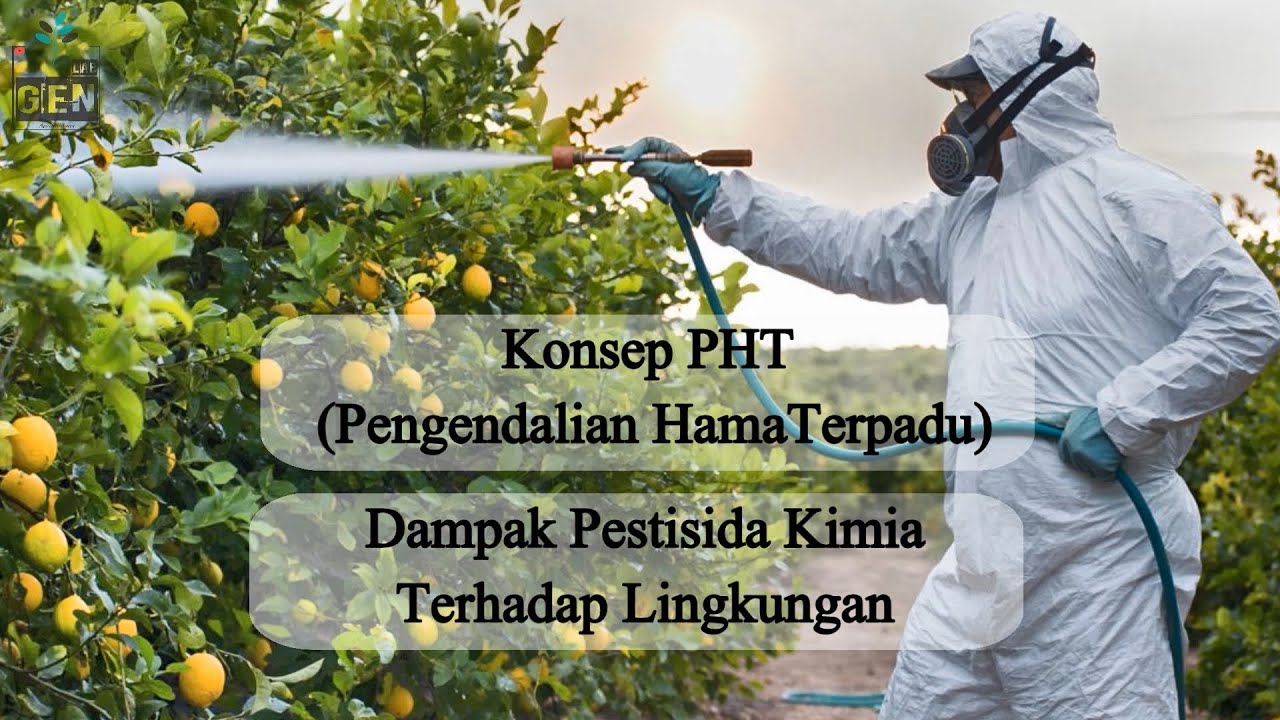 Dampak Pestisida Kimia dan Penerapan PHT (Pengendalian Hama Terpadu ...