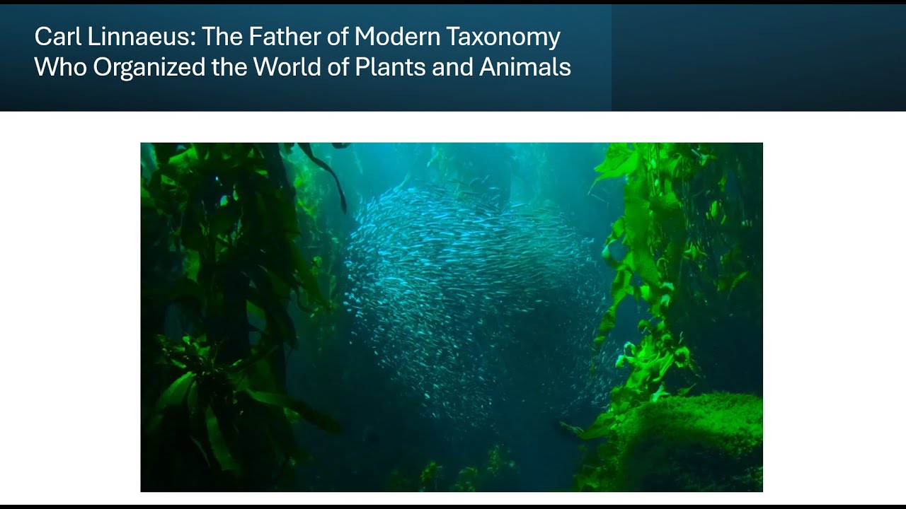 Carl Linnaeus: The Father of Modern Taxonomy and Biological ...