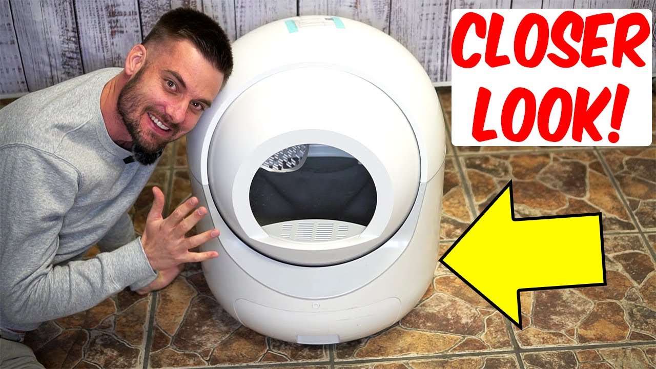 Cleanpethome Self Cleaning Cat Litter Box Review (Link Below 👇) - YouTube
