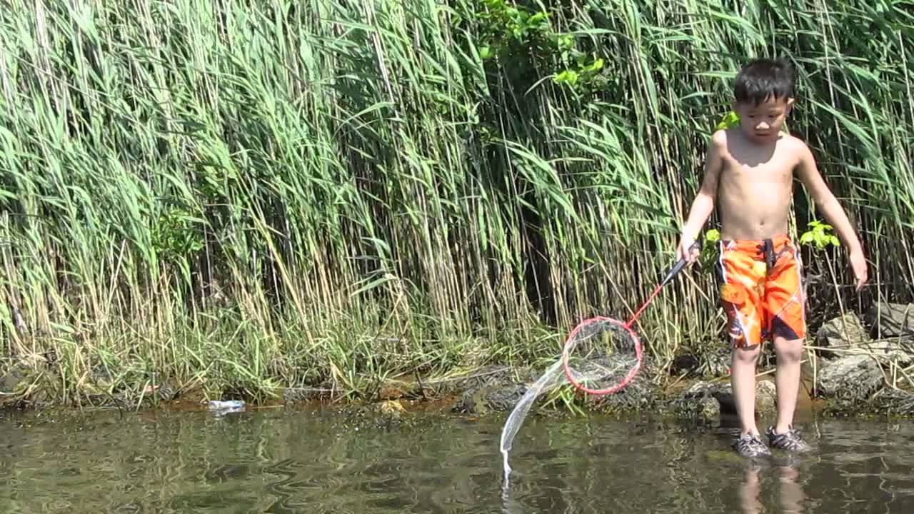 Fresh Water Crab Hunting in Ocean Beach, New London, CT, July 8th - YouTube