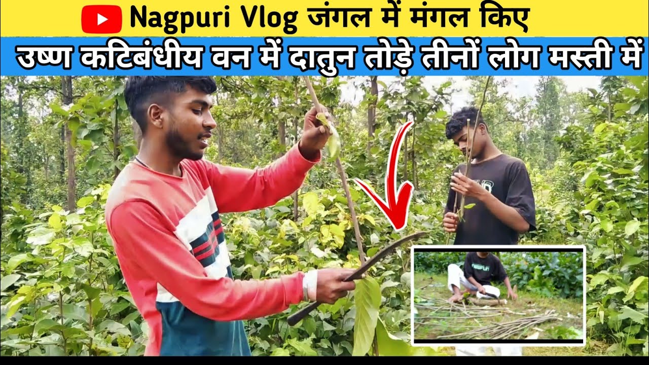 Nagpuri vlog Ranchi | nagpuri vlog jharkhand | my first nagpuri vlog jharkhand #nagpuri #vlog ...