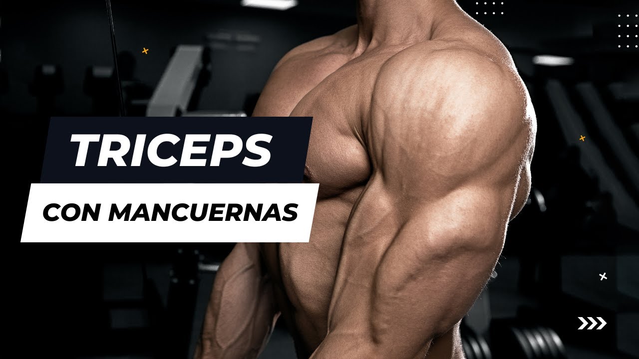 COMO realizar CORRECTAMENTE TRICEPS con Mancuernas - YouTube