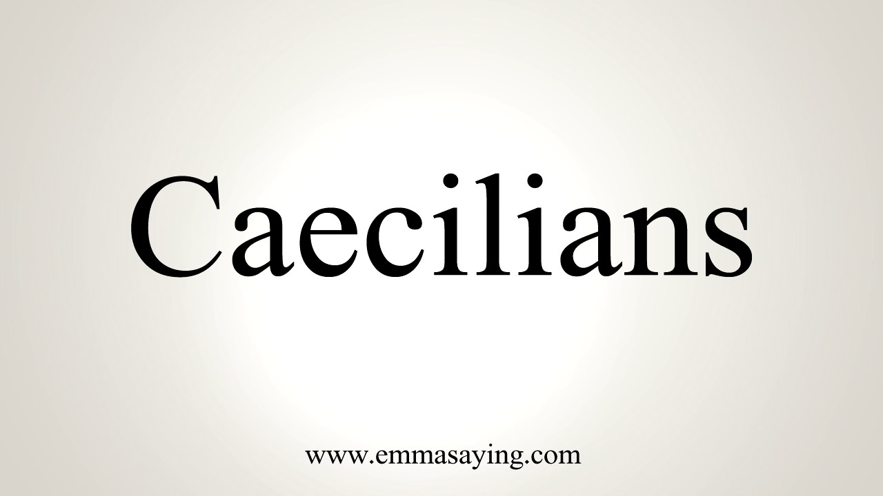 How To Pronounce Caecilians - YouTube