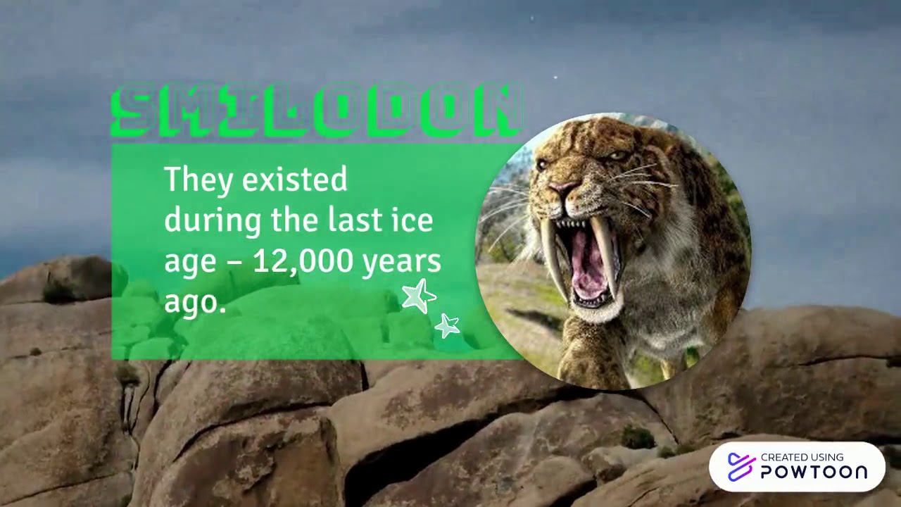 4 Amazing Facts On Extinct Animals - YouTube