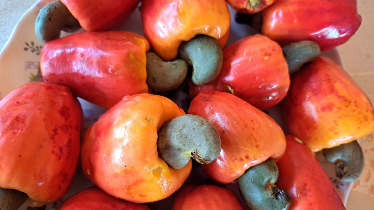 fresco de marañon al estilo salvadoreño - YouTube