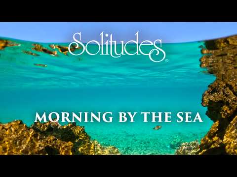 Dan Gibson’s Solitudes - Dancing Reflections | Morning by the Sea