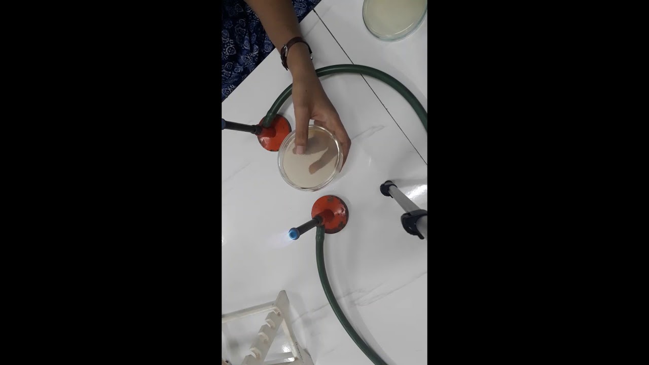 crowded plate technique - YouTube