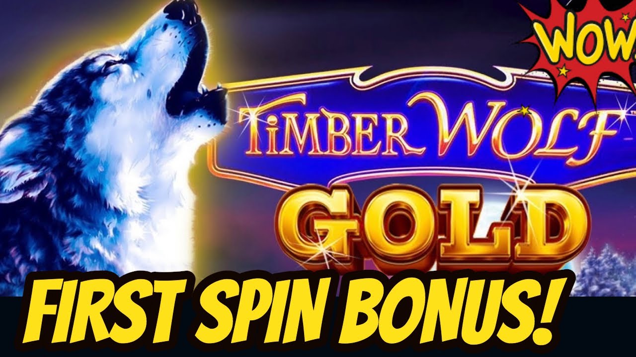 FIRST SPIN BONUS! Timber Wolf Gold & Take the Ticket - YouTube